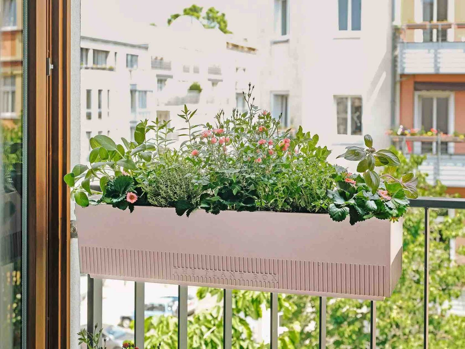 Greentech Startup The Plant Box ist insolvent - Greentech News ...