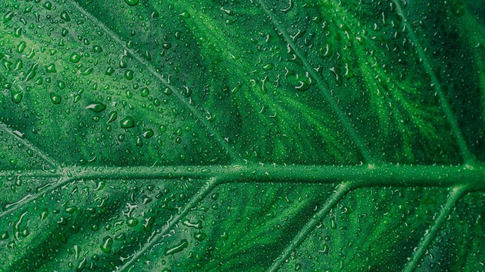 Greentech Events: COSMOS-H Eröffnung der Forschungsanlage am KIT ...